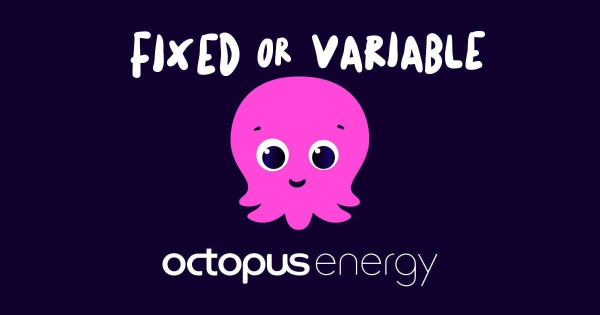 Find the Cheapest Octopus Energy Tariff Today - AES Limited