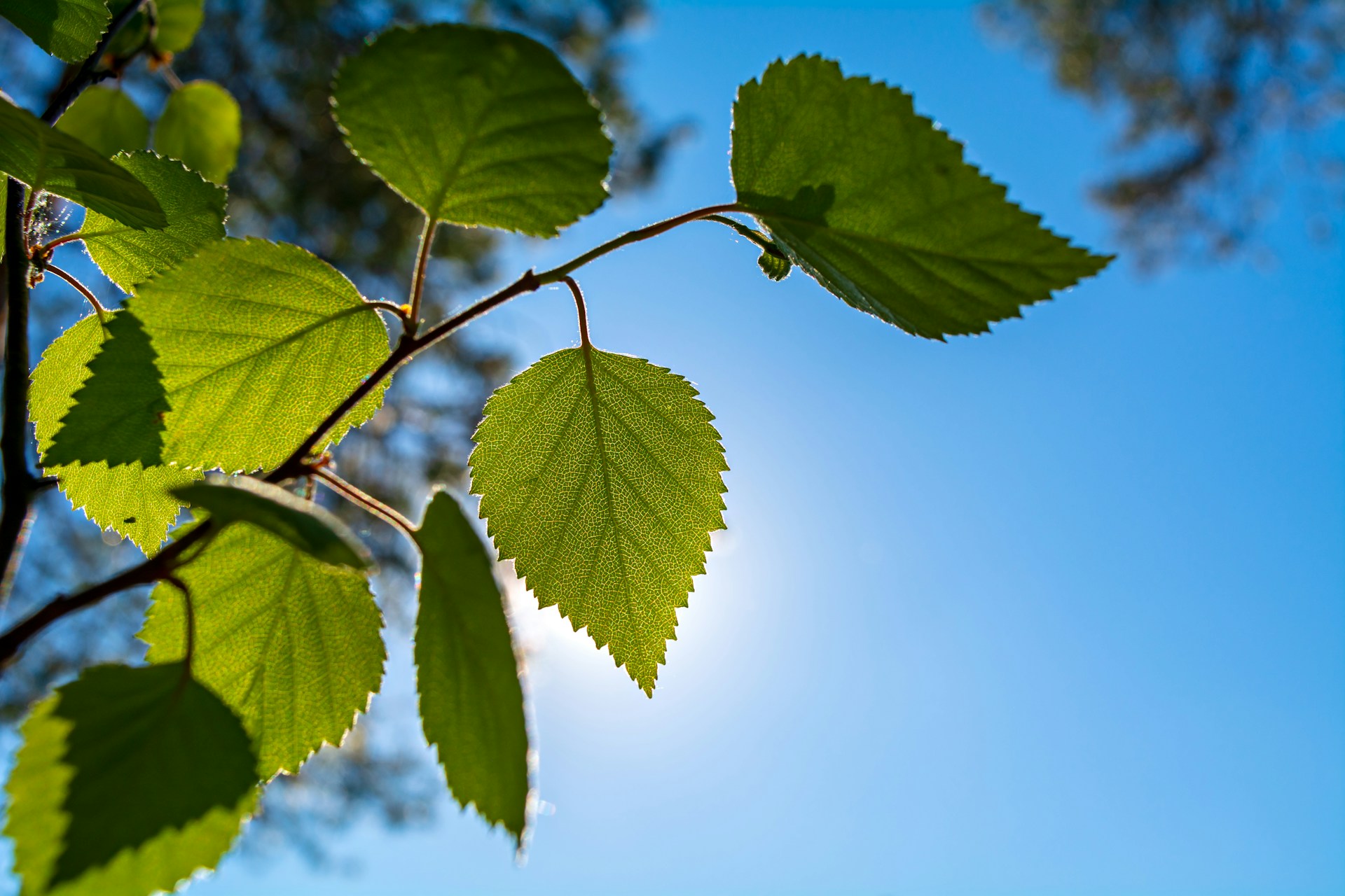 The Smart Home Energy Landscape in 2026 | Solar, Heat Pumps & Energy ...